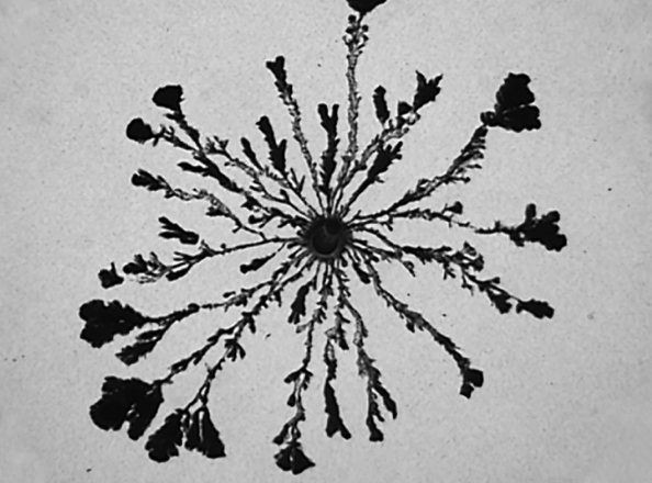 BRIAN FRIDGE – SEQUENCES – Brask Art Blog